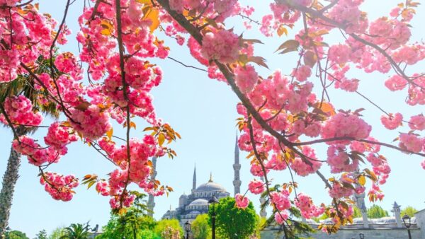 The Best Gardens and Parks to Visit in Istanbul in Spring | Viaurbis